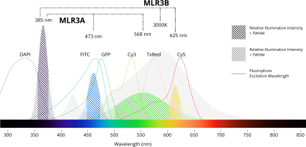 Automated Fluorescence Microscope - Zaber