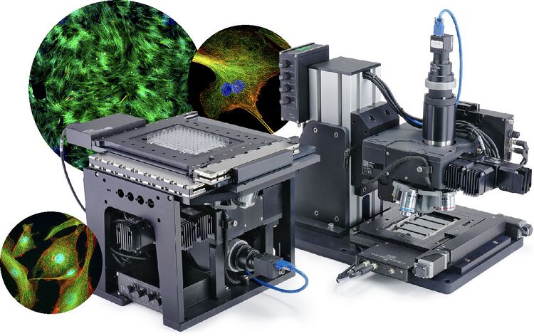 TDI imaging for high throughput microscopy slide and plate scanning